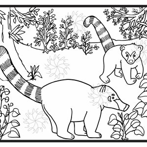 Coloring Page for Adults, Coloring Page Printable, Coati Coloring Page ...