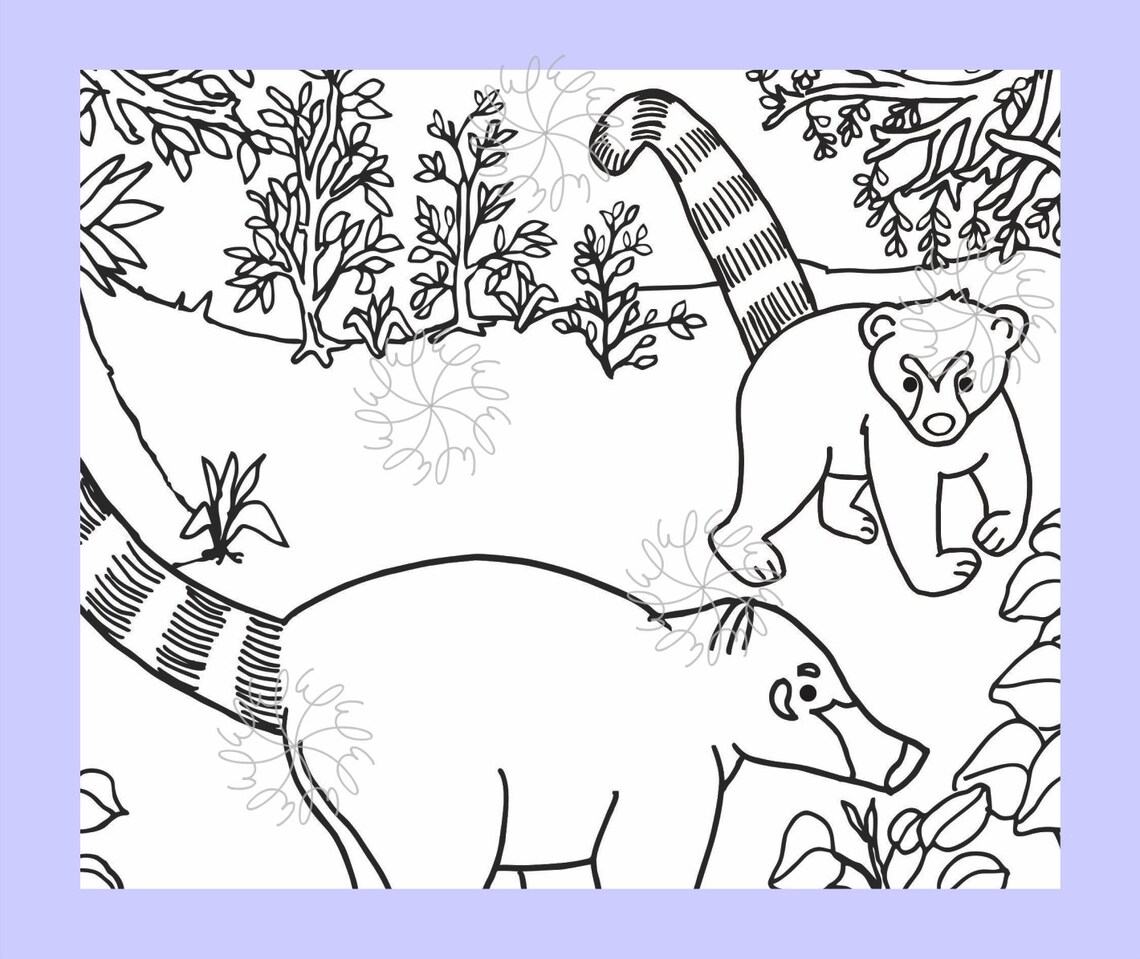 Coloring Page for Adults Coloring Page Printable Coati - Etsy
