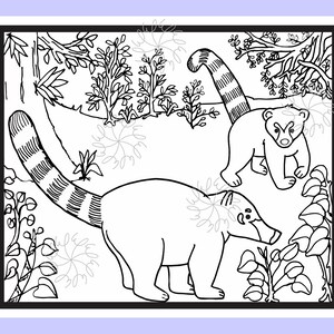 Coloring Page for Adults, Coloring Page Printable, Coati Coloring Page ...