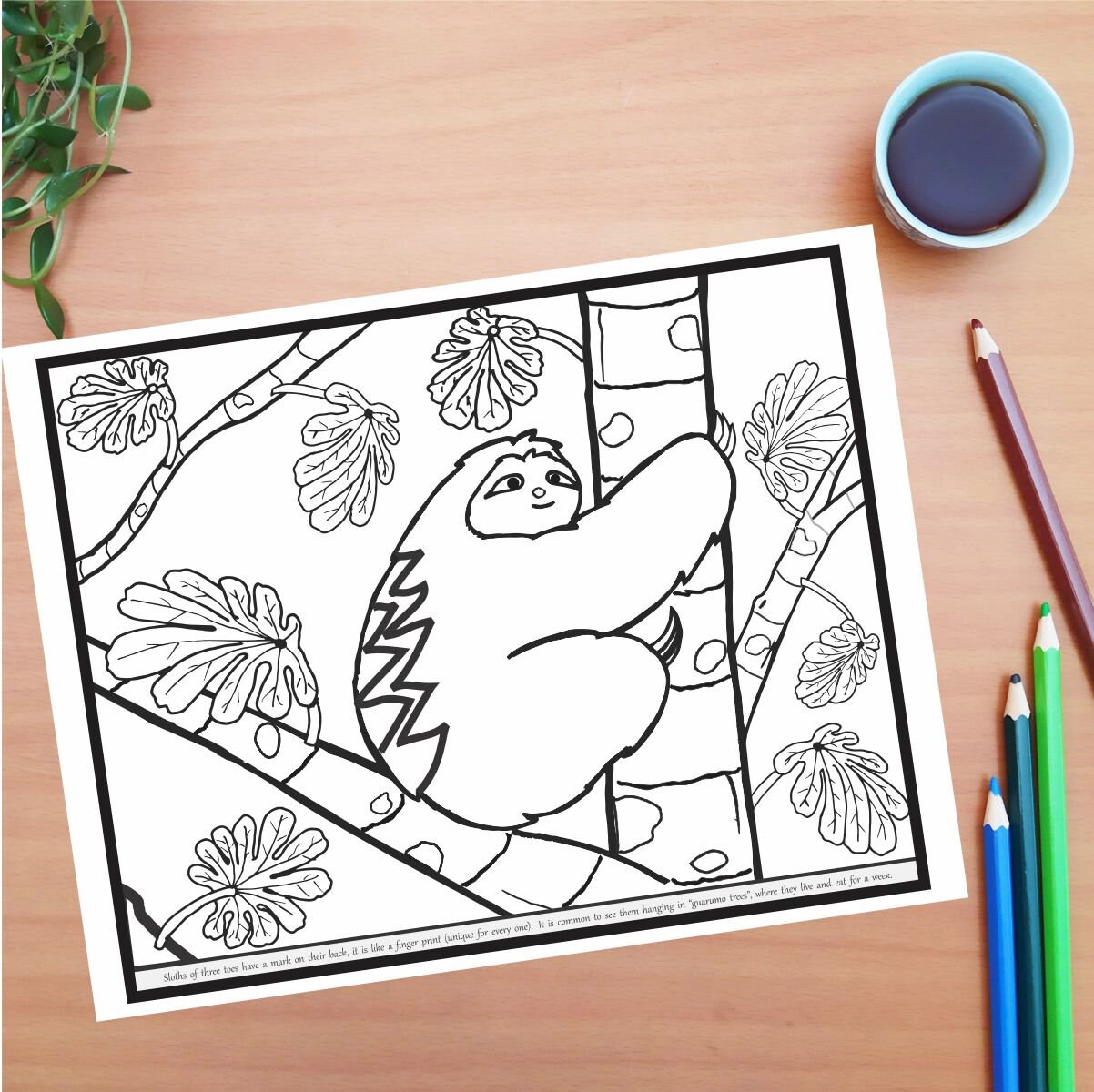 Coloring Page for Adults, Printable Coloring Page, Coloring Page of ...