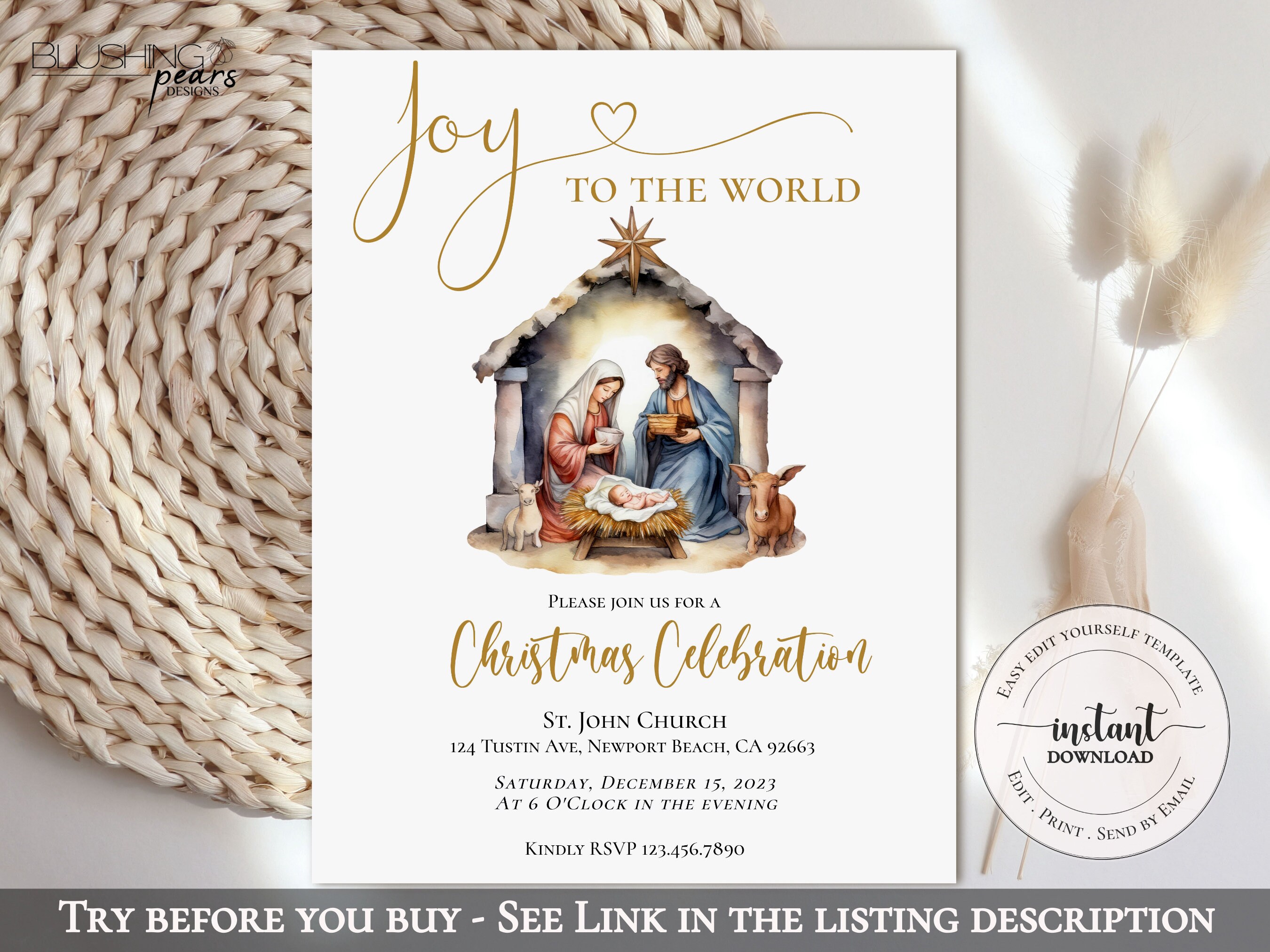 Nativity Flyer, Religious Christmas Party Flyer, Nativity Christmas ...