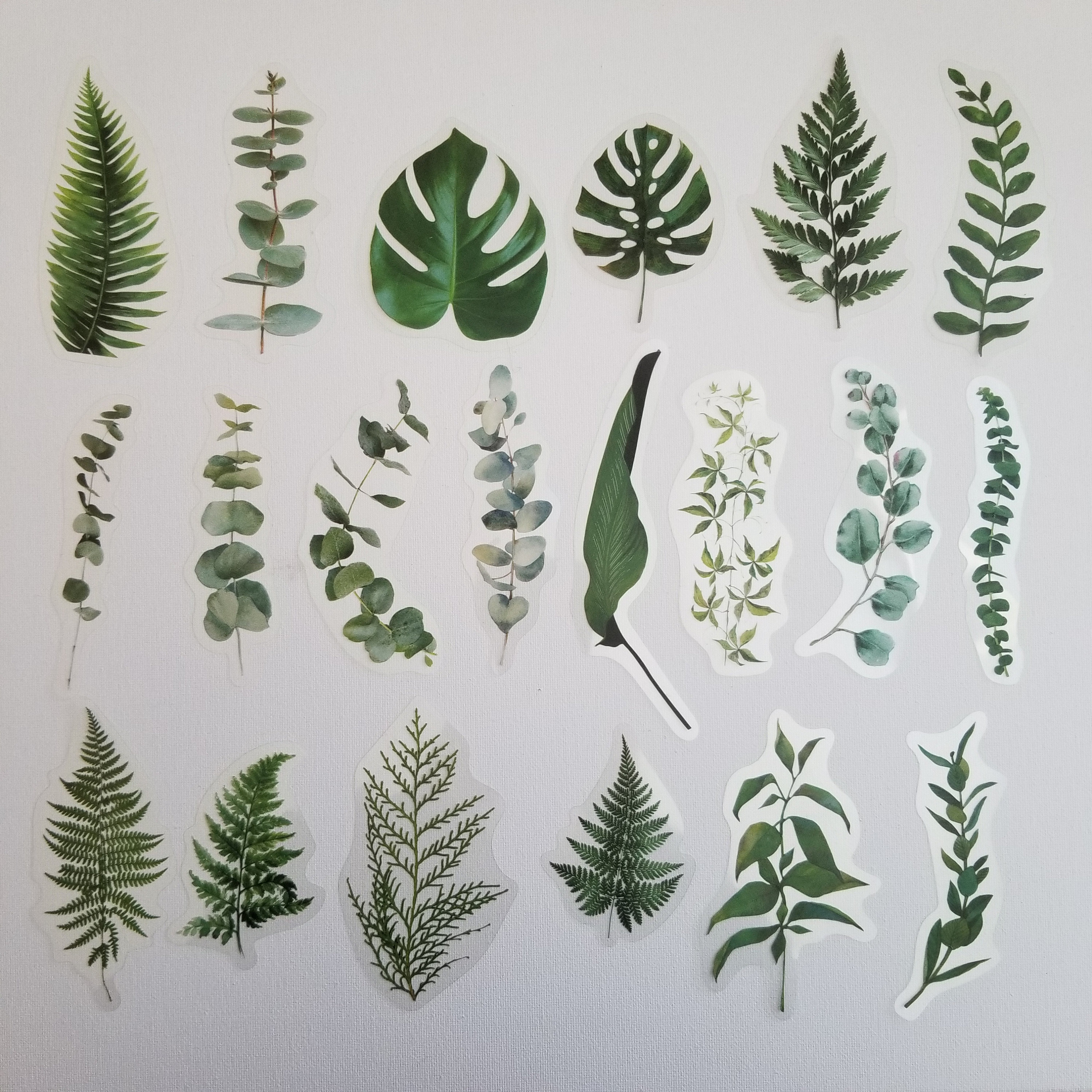 20pcs Waterproof Transparent Leaf Sticker Pack Journal | Etsy