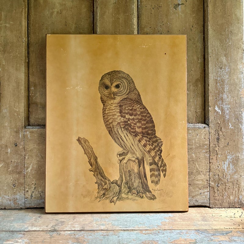 Vintage Owl - Etsy