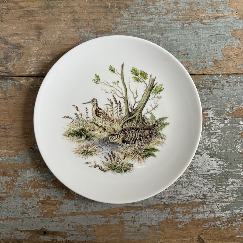 Bird Plates - Etsy