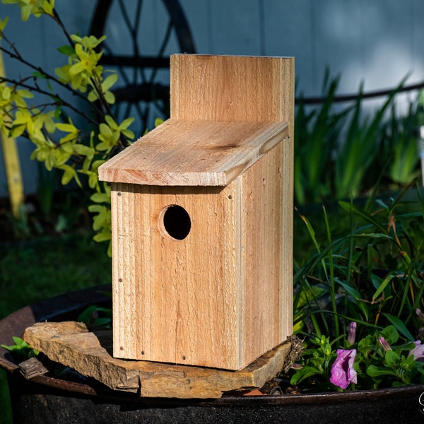 Bluebird House - Etsy