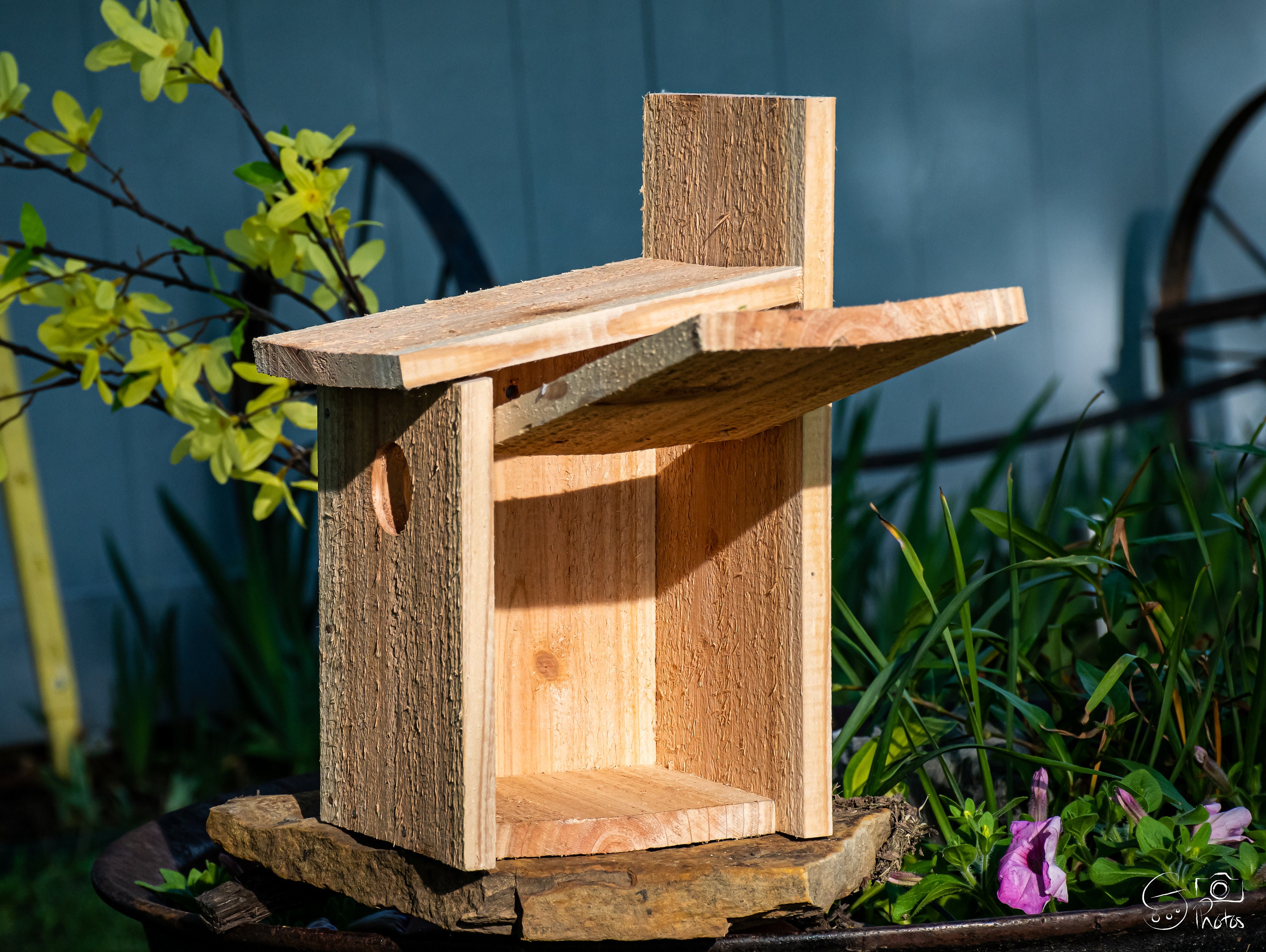 Handmade Cedar Bluebird House - Etsy