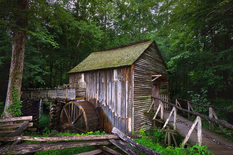 Old Mill in the Woods - Etsy