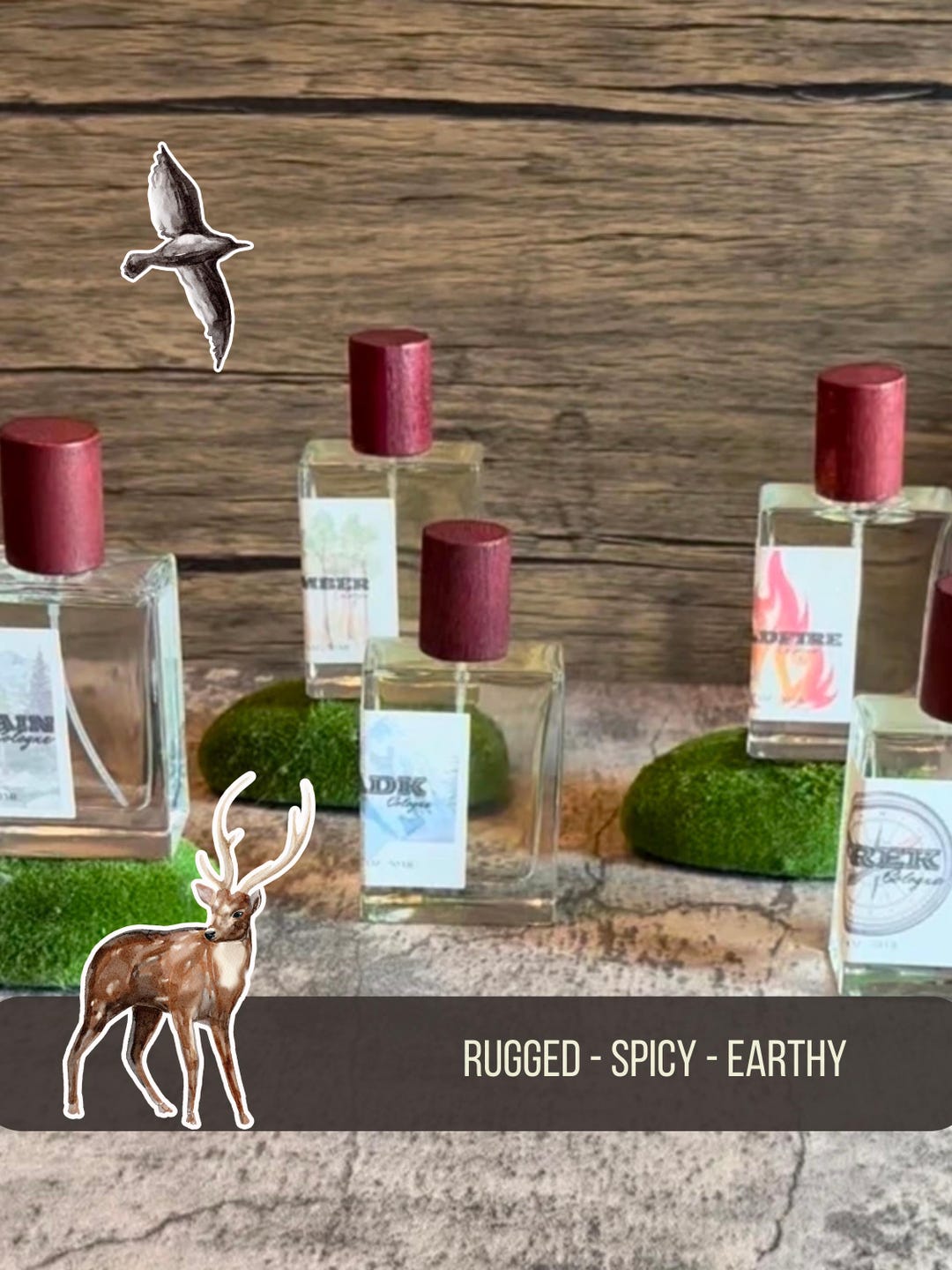 Men’s Cologne Collection | All Natural | Adventure | Woodsy | Inspired ...