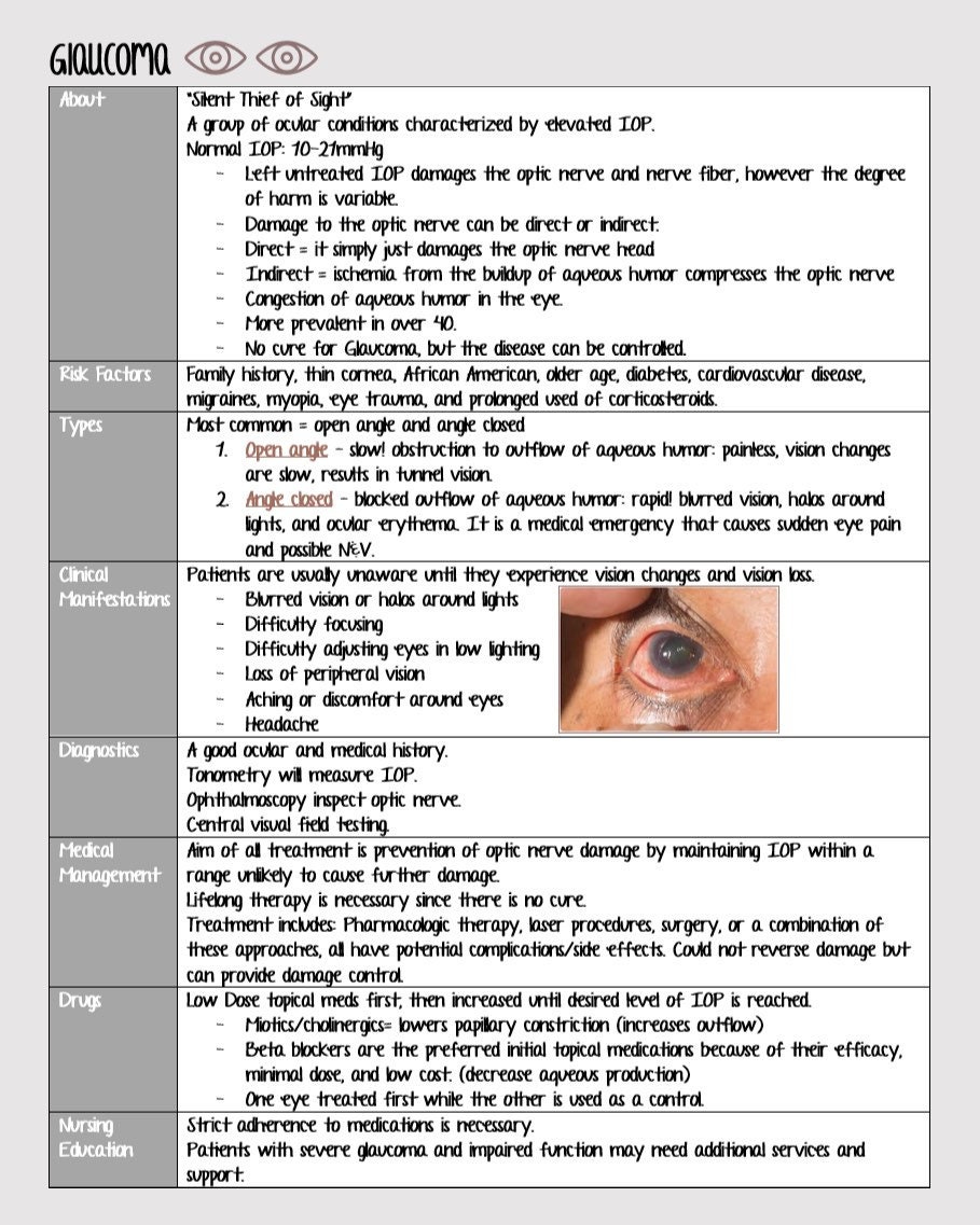 Adult Neuro Nursing - Cheat Sheets - Etsy