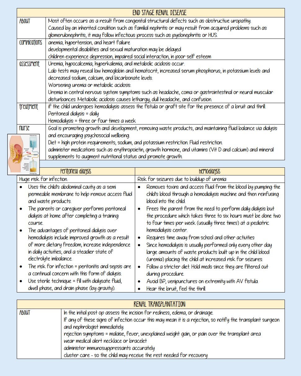 Urinalysis Cheat Sheet Nurse Practitioner School