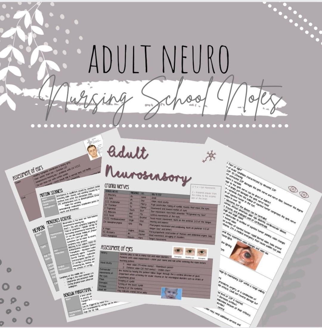 Adult Neuro Nursing - Cheat Sheets - Etsy