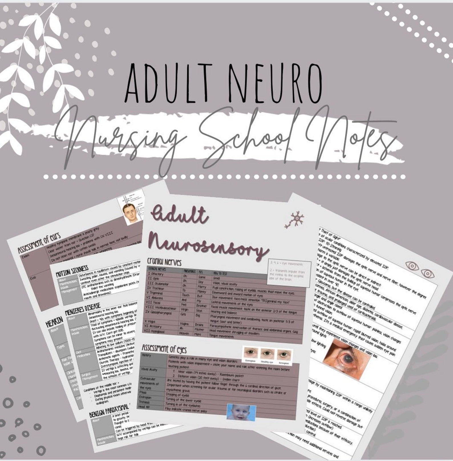Adult Neuro Nursing - Cheat Sheets - Etsy