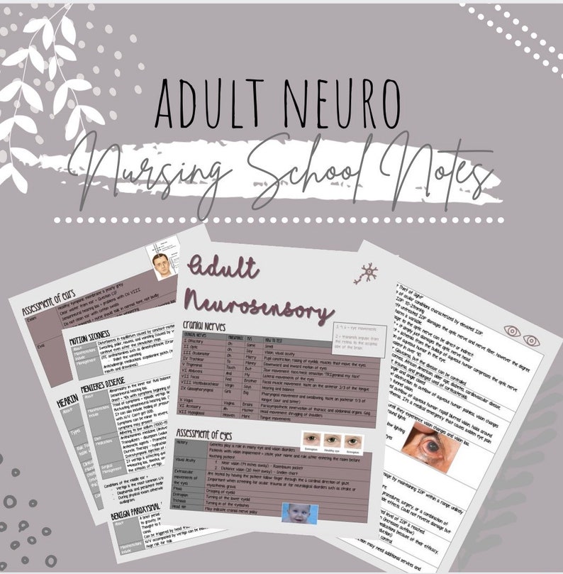 Adult Neuro Nursing - Cheat Sheets - Etsy