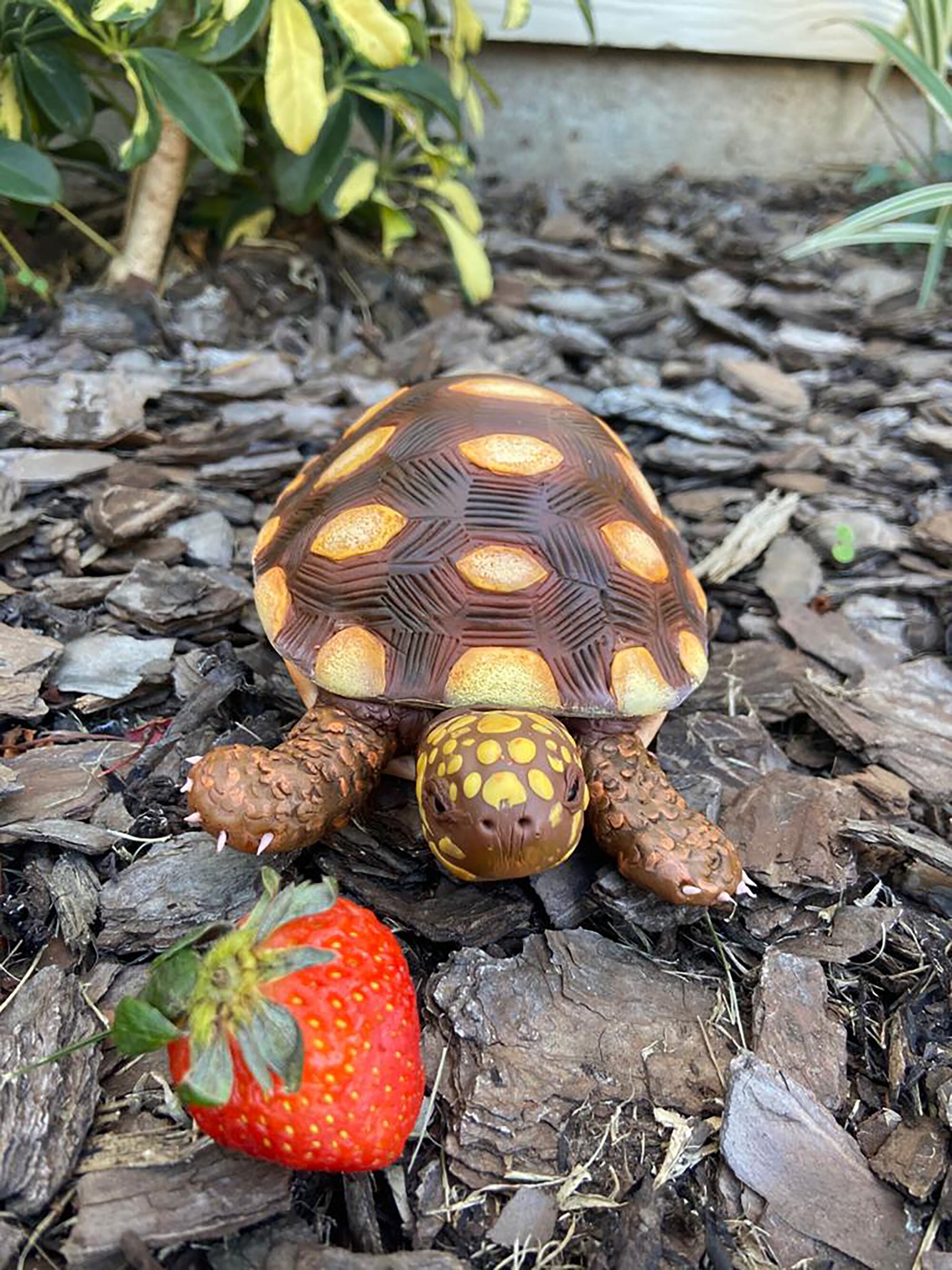 Fondant Turtle Cake Topper Turtle Baby Shower Birthday - Etsy