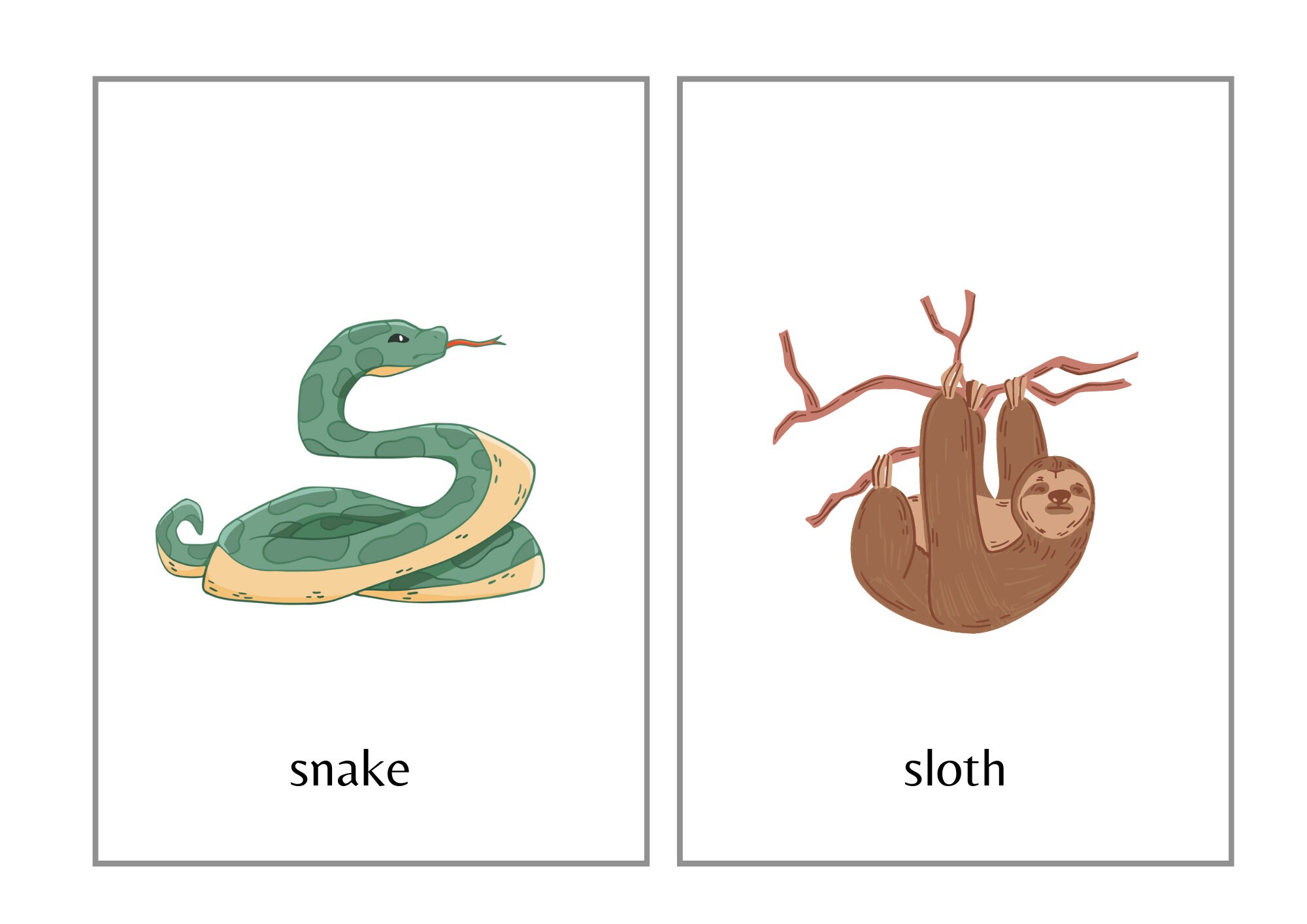 Zoo Animal Large Flashcards - Set 2 - Etsy