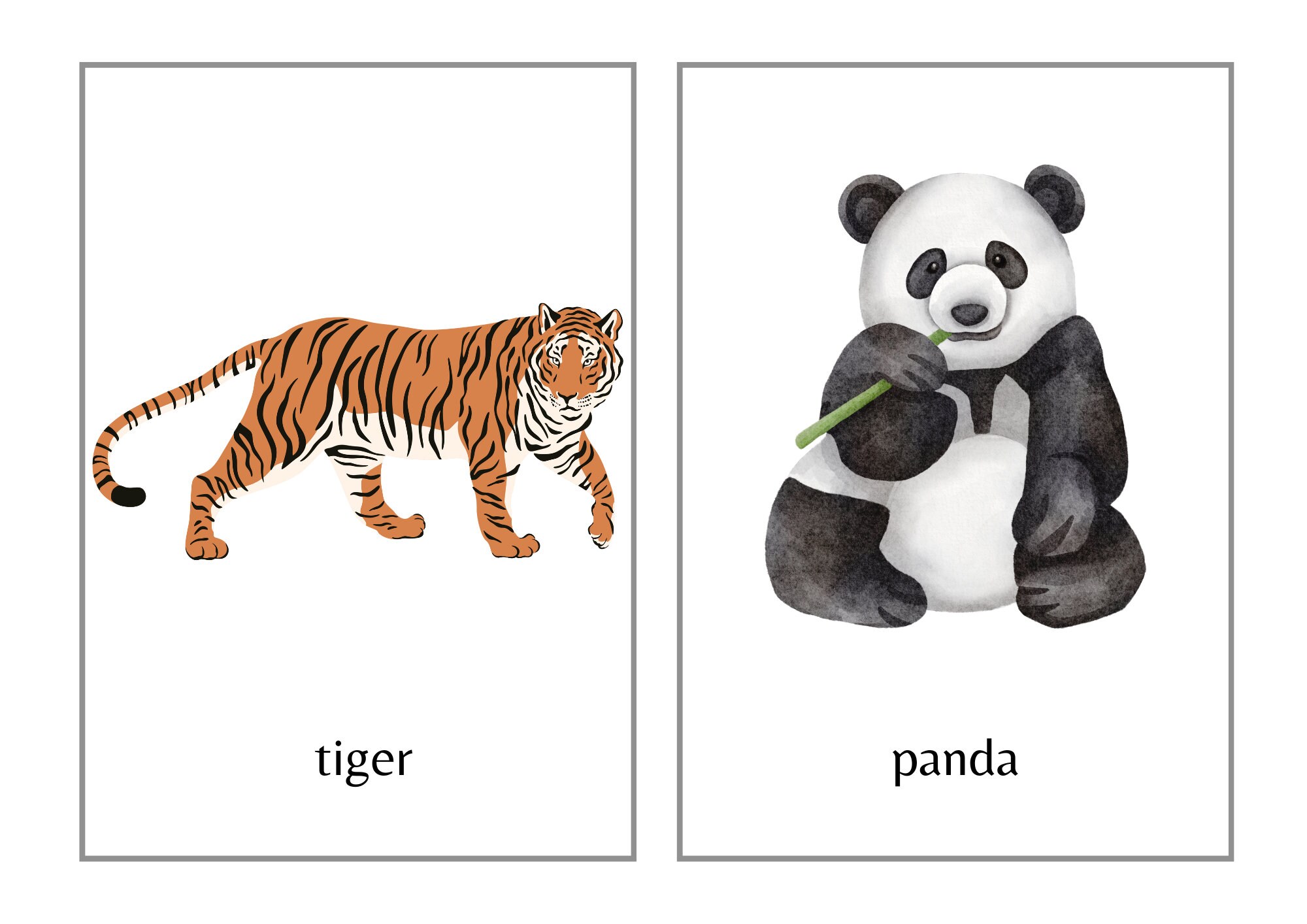 Zoo Animals Large Flashcards - Set 1 - Etsy