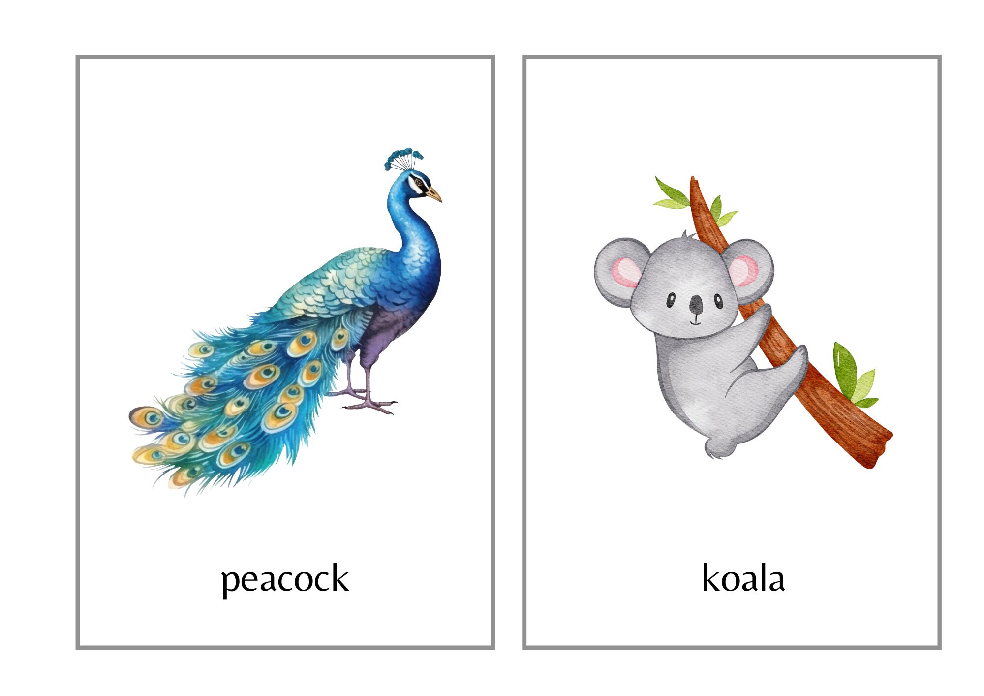 Zoo Animal Large Flashcards - Set 2 - Etsy