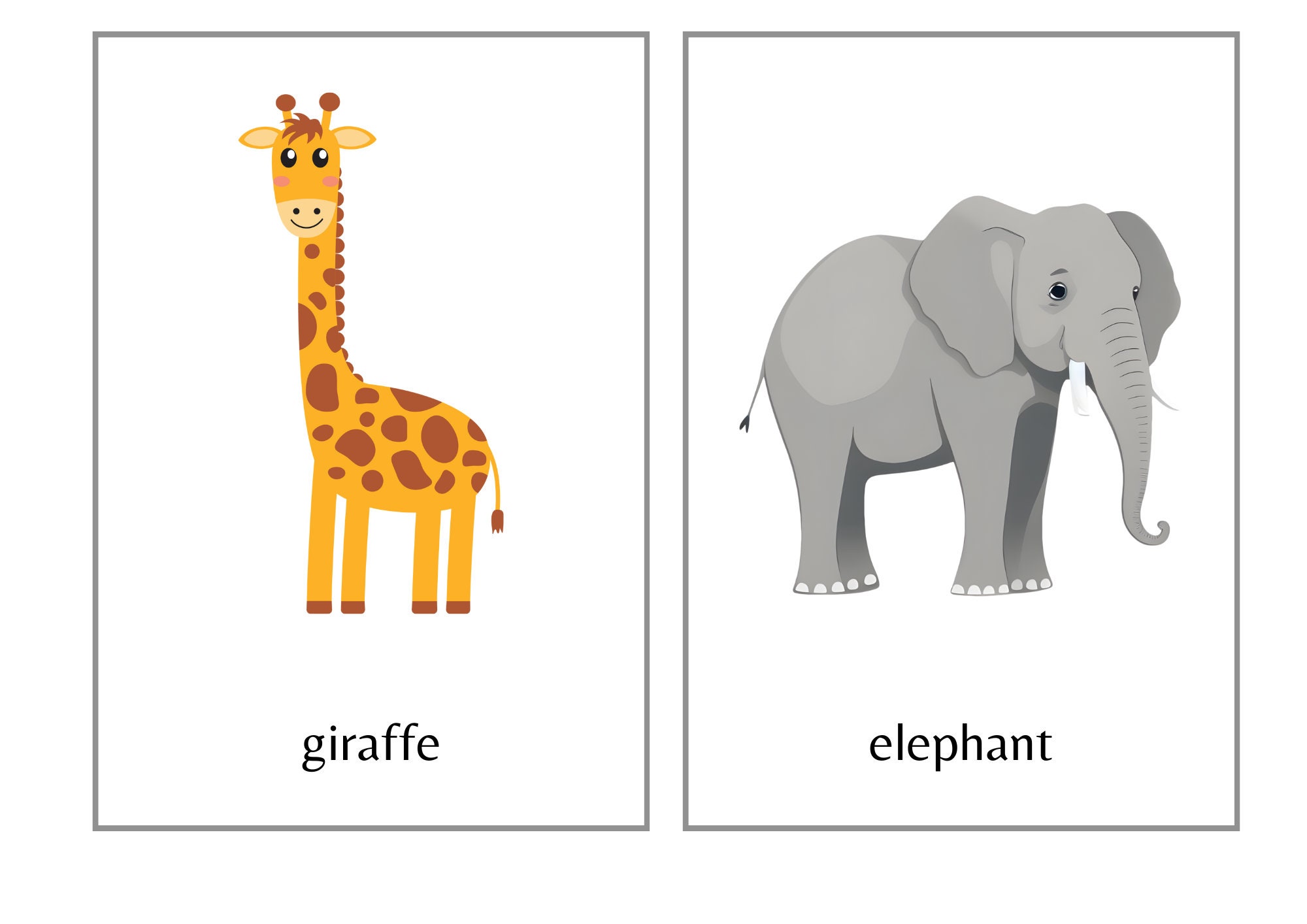 Zoo Animals Large Flashcards - Set 1 - Etsy