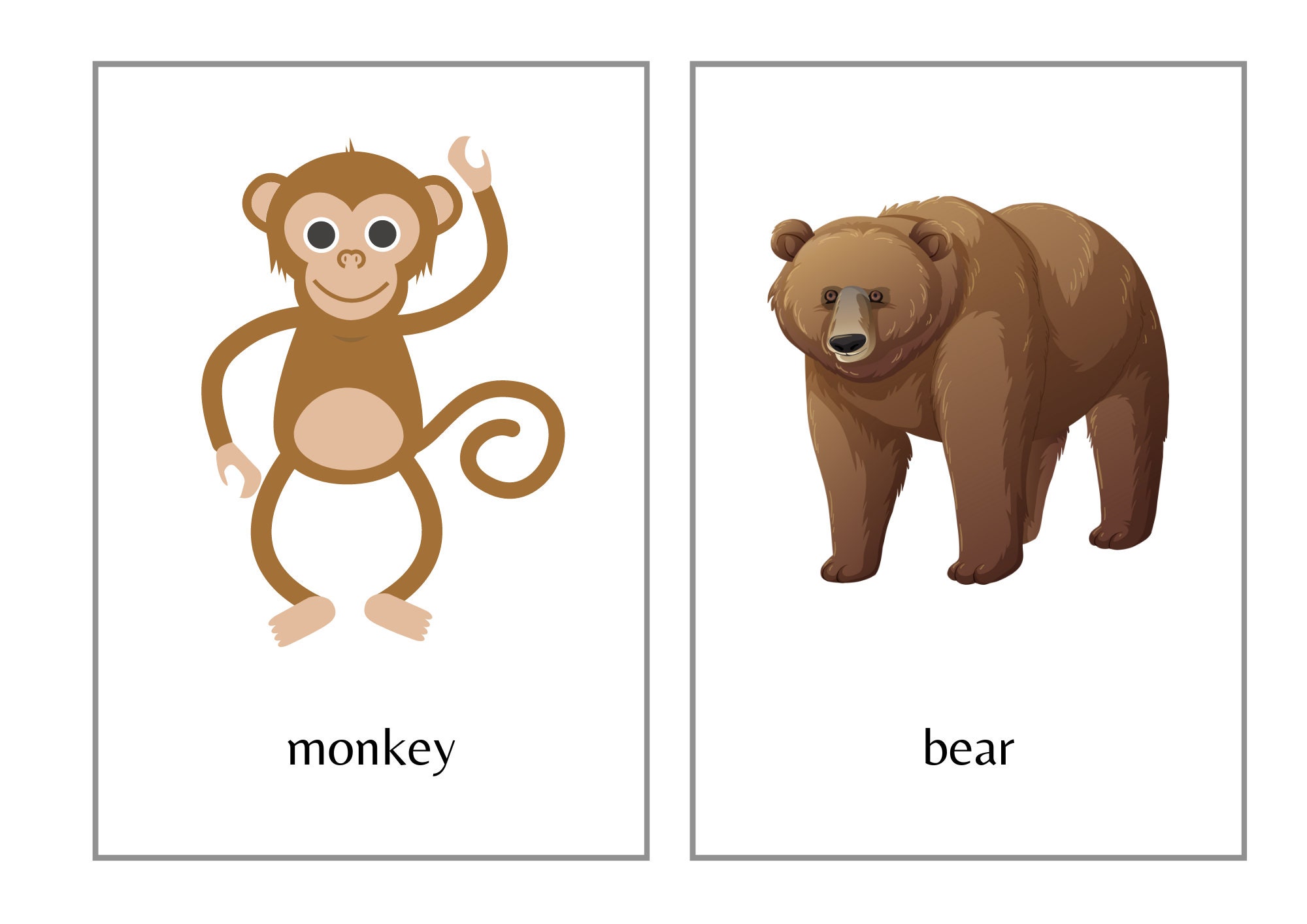 Zoo Animals Large Flashcards - Set 1 - Etsy