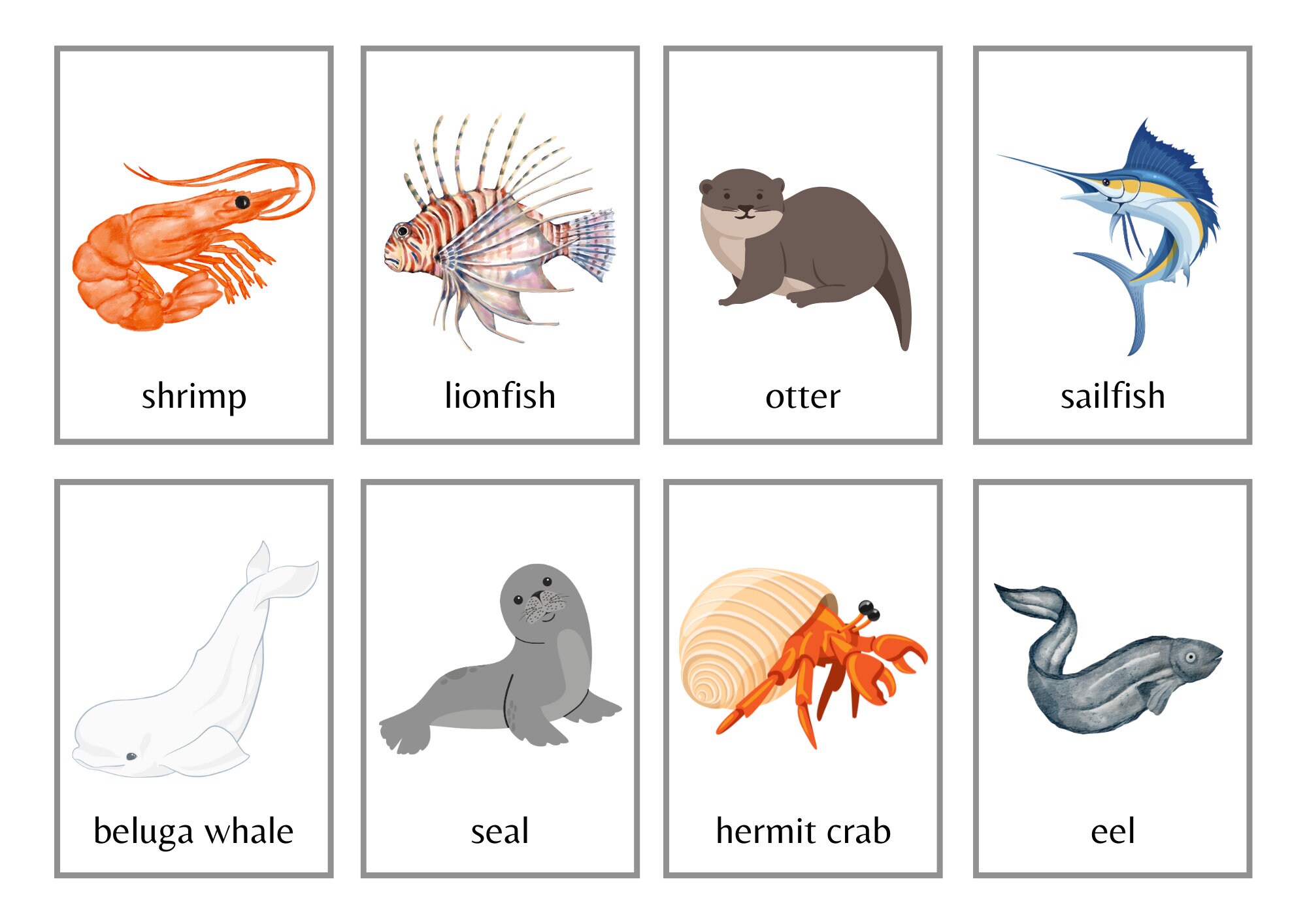 Sea Animal Flashcards (24) - Animal Flashcards - Sea Animals - Learning ...