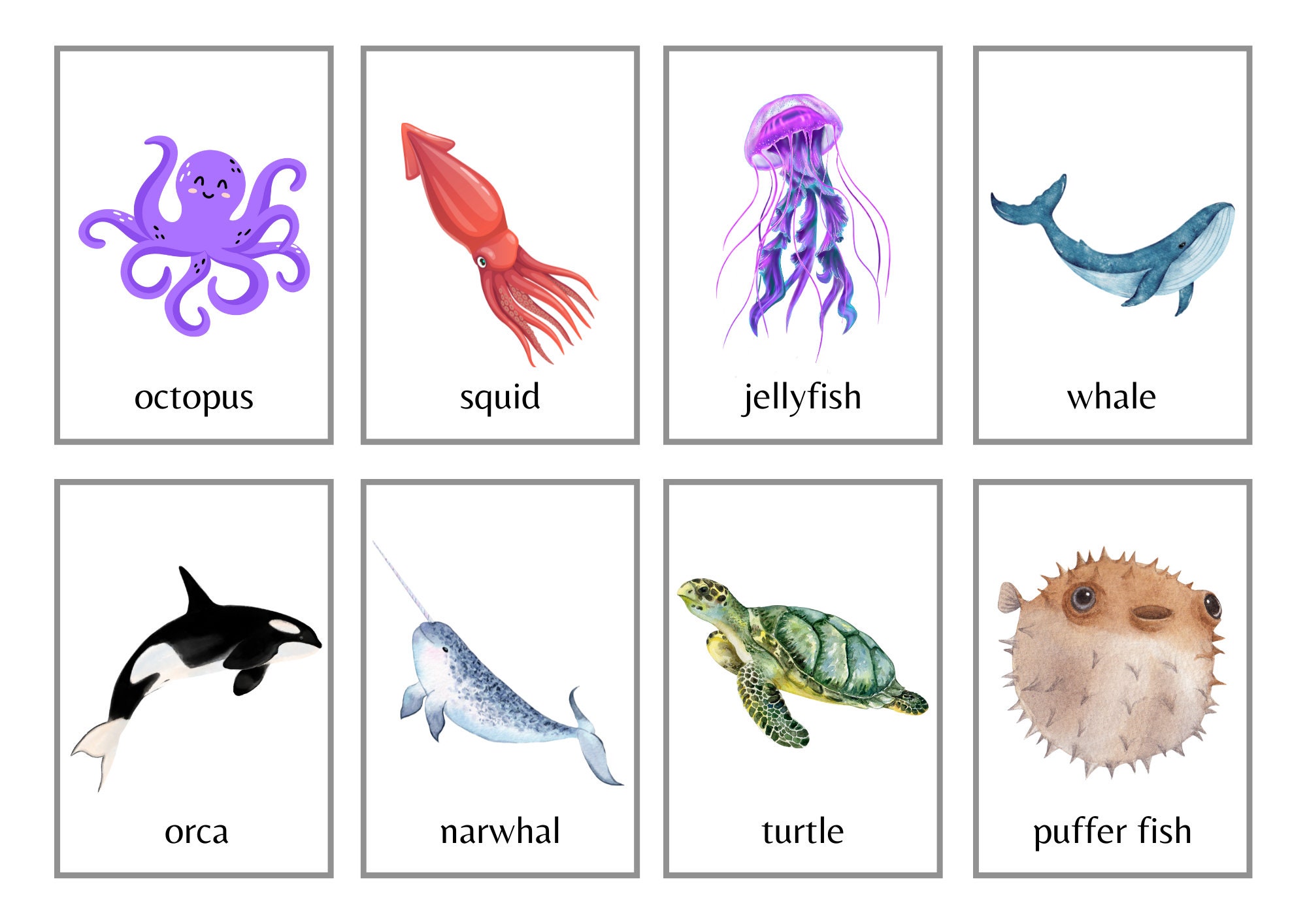 Sea Animal Flashcards (24) - Animal Flashcards - Sea Animals - Learning ...