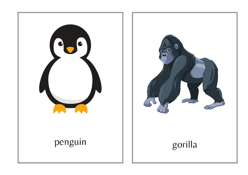 Zoo Animals Large Flashcards - Set 1 - Etsy