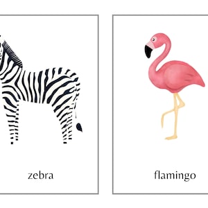 Zoo Animals Large Flashcards - Set 1 - Etsy