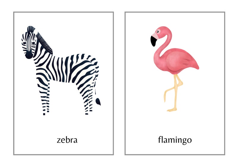 Zoo Animals Large Flashcards - Set 1 - Etsy