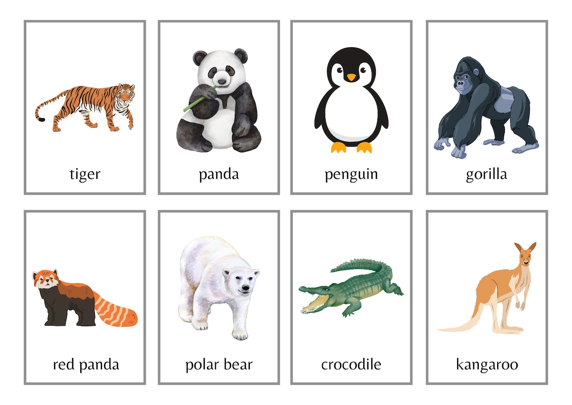 Zoo Animal Flashcards (24) - Animal Flashcards - Zoo Flashcards ...