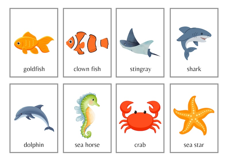 Sea Animal Flashcards (24) - Animal Flashcards - Sea Animals - Learning ...