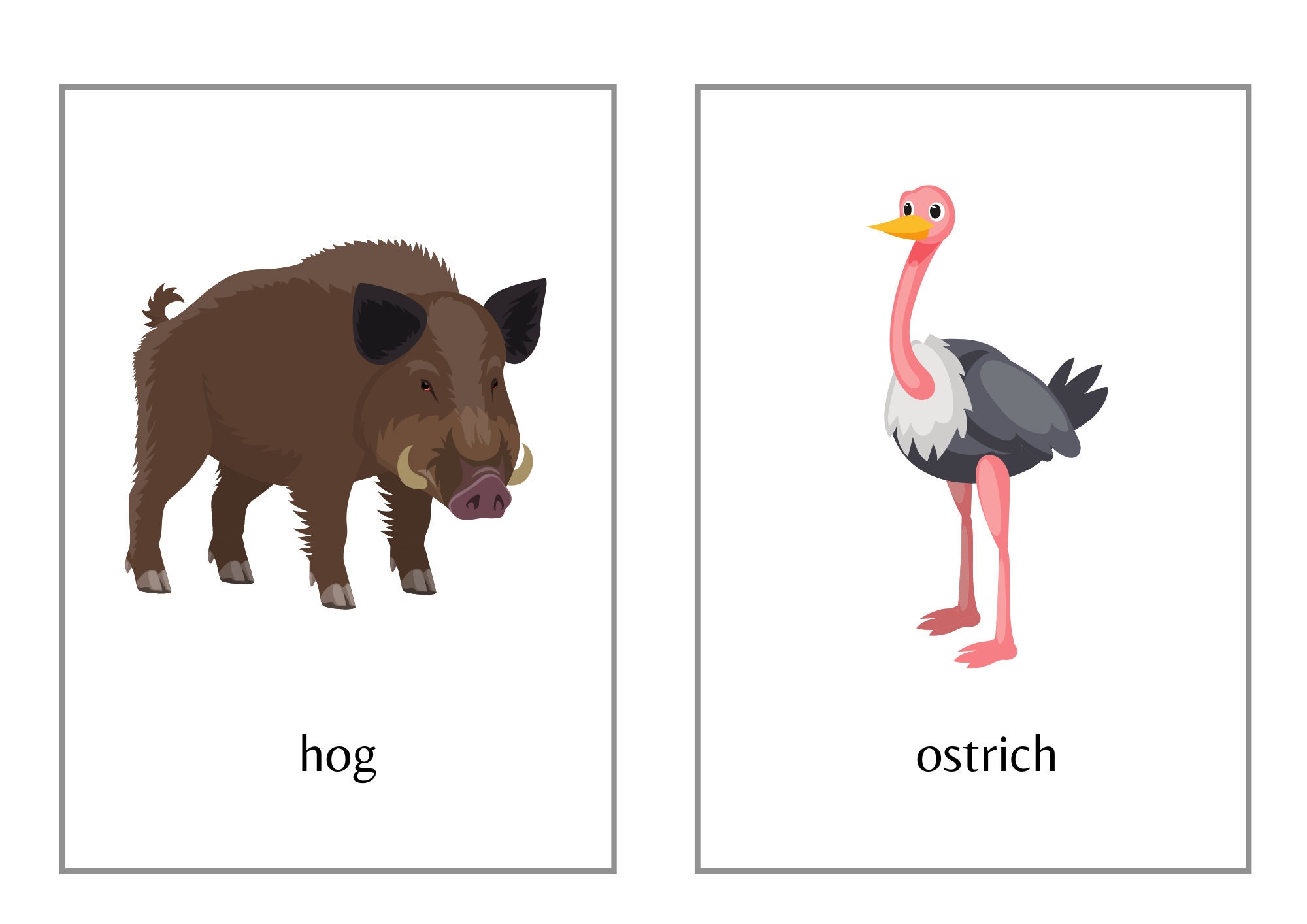 Zoo Animal Large Flashcards - Set 2 - Etsy