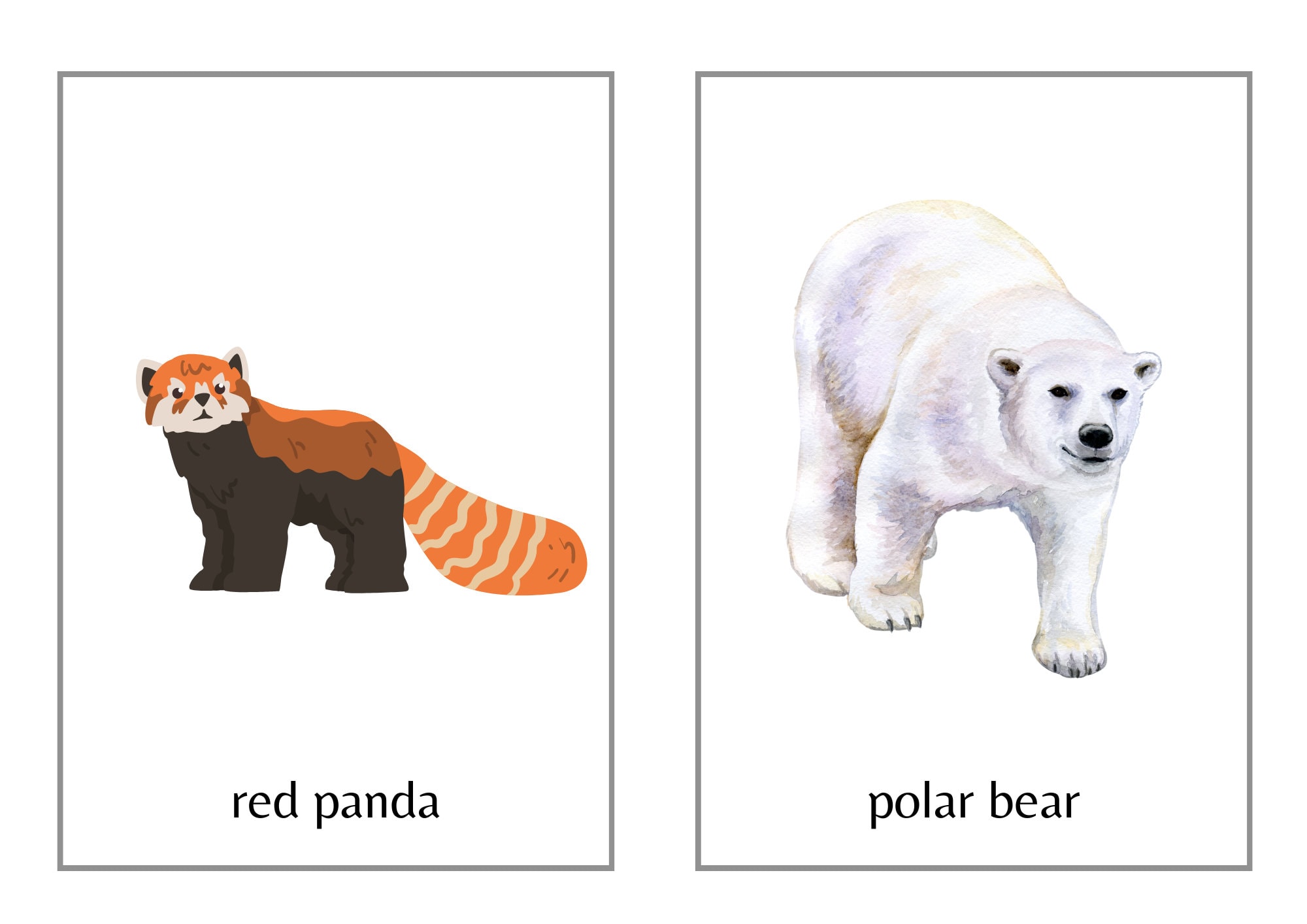 Zoo Animal Large Flashcards - Set 2 - Etsy