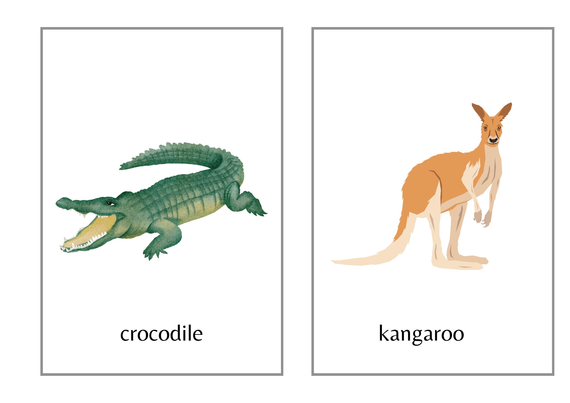 Zoo Animal Large Flashcards - Set 2 - Etsy