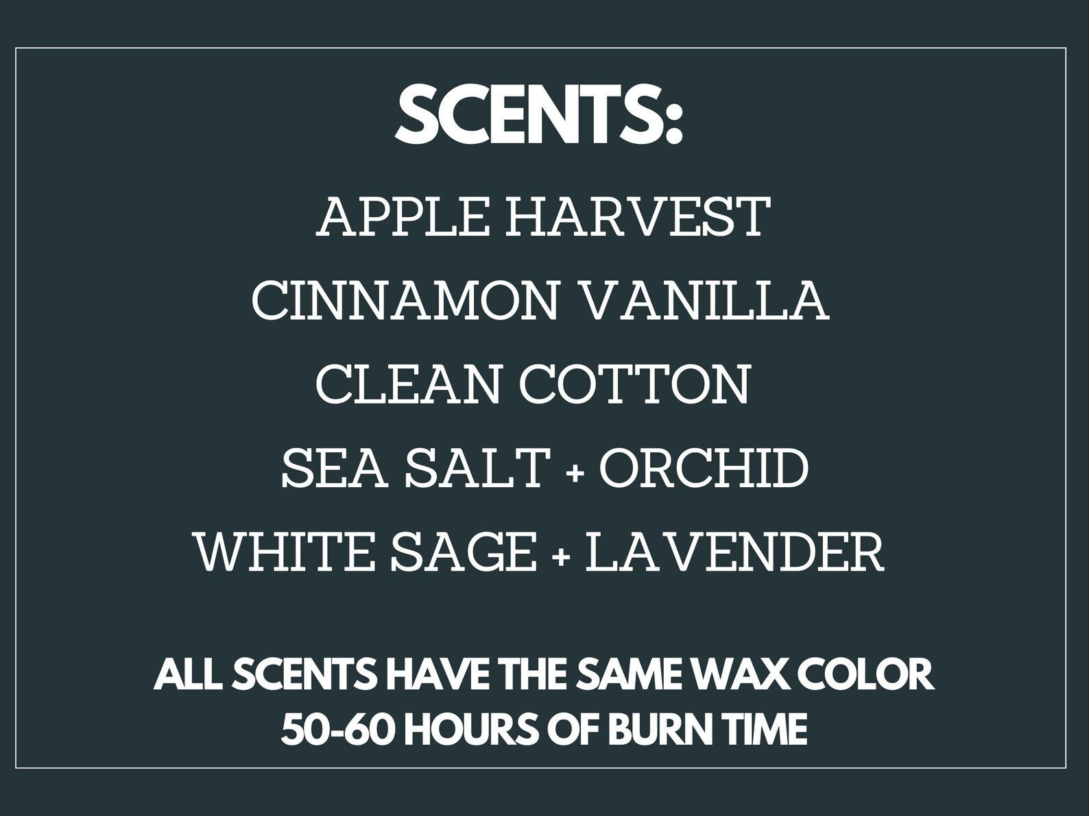 Ag Teacher Gift, Funny Ag Teacher Room Decor for Best Ag Teacher ...