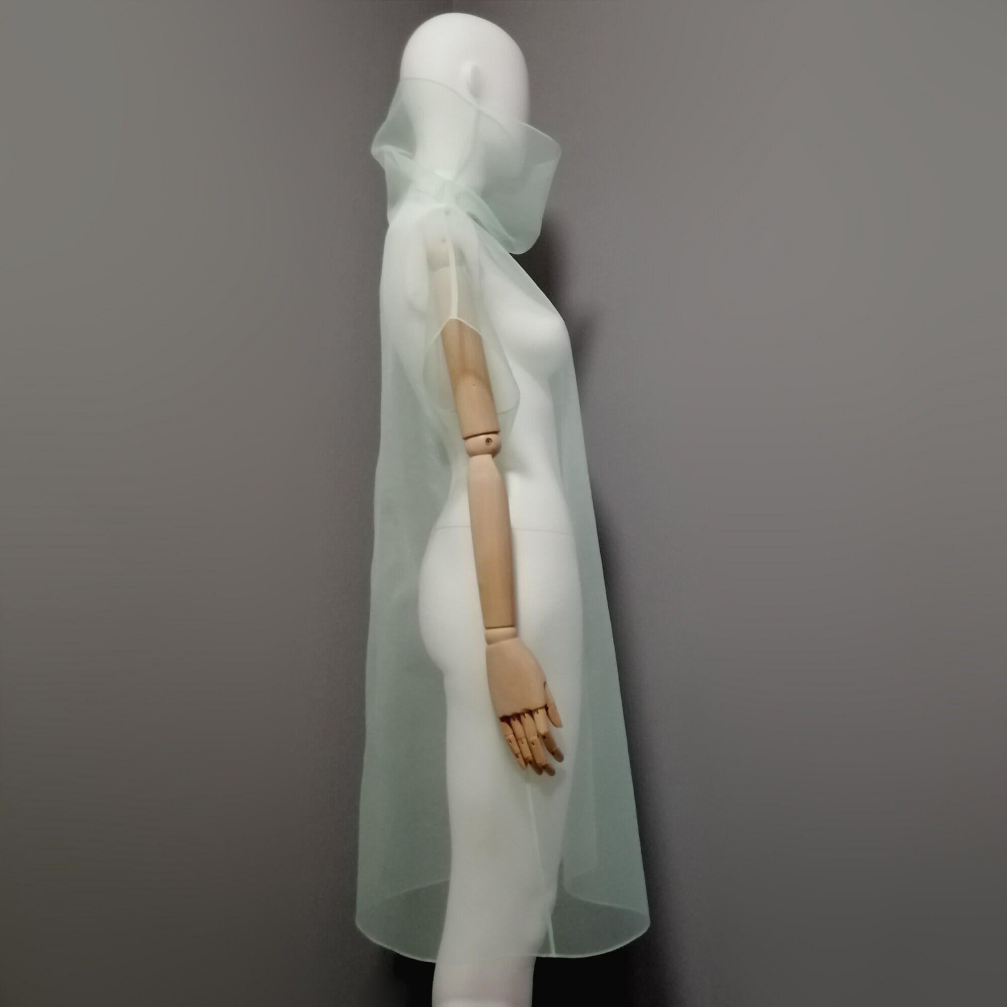 Overlay Sheer Dress With High Collar From Wrinkled Organza. Wedding See ...