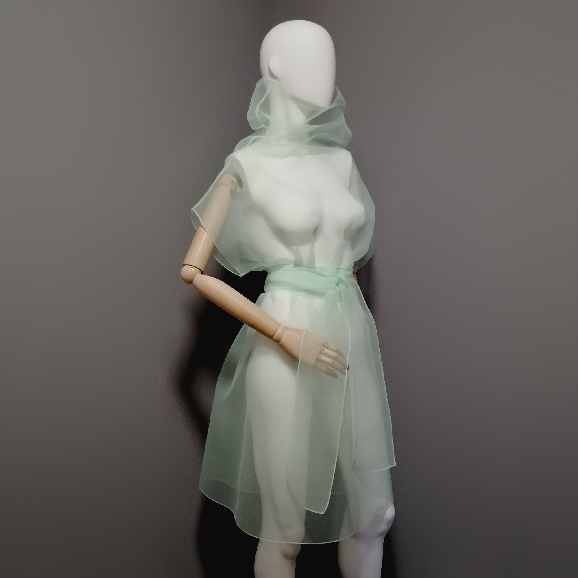 Overlay Sheer Dress With High Collar From Wrinkled Organza. Wedding See ...