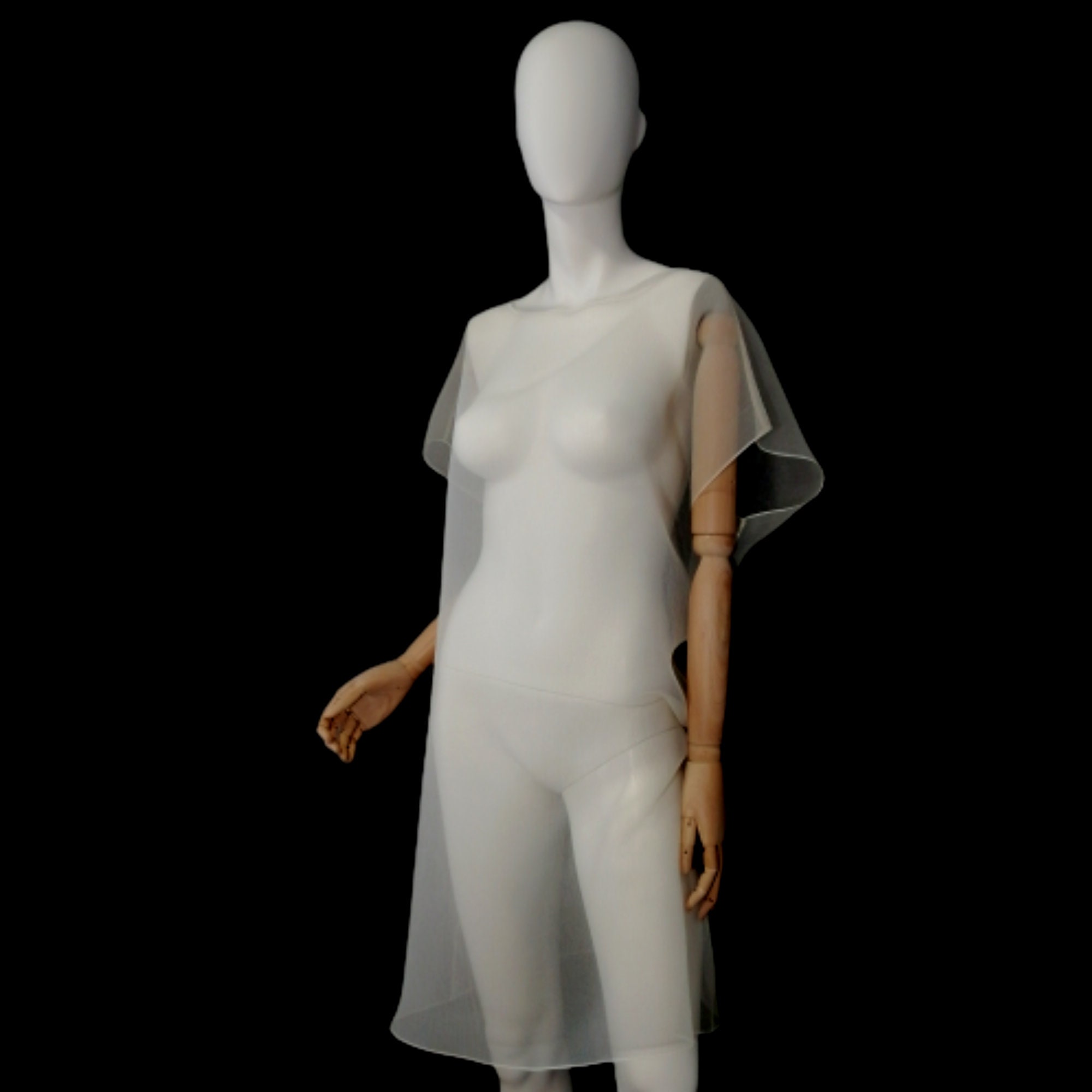 Overlay Sheer Belted Dress. Elegant Organza Tunic. Woman Sheer Clothing ...