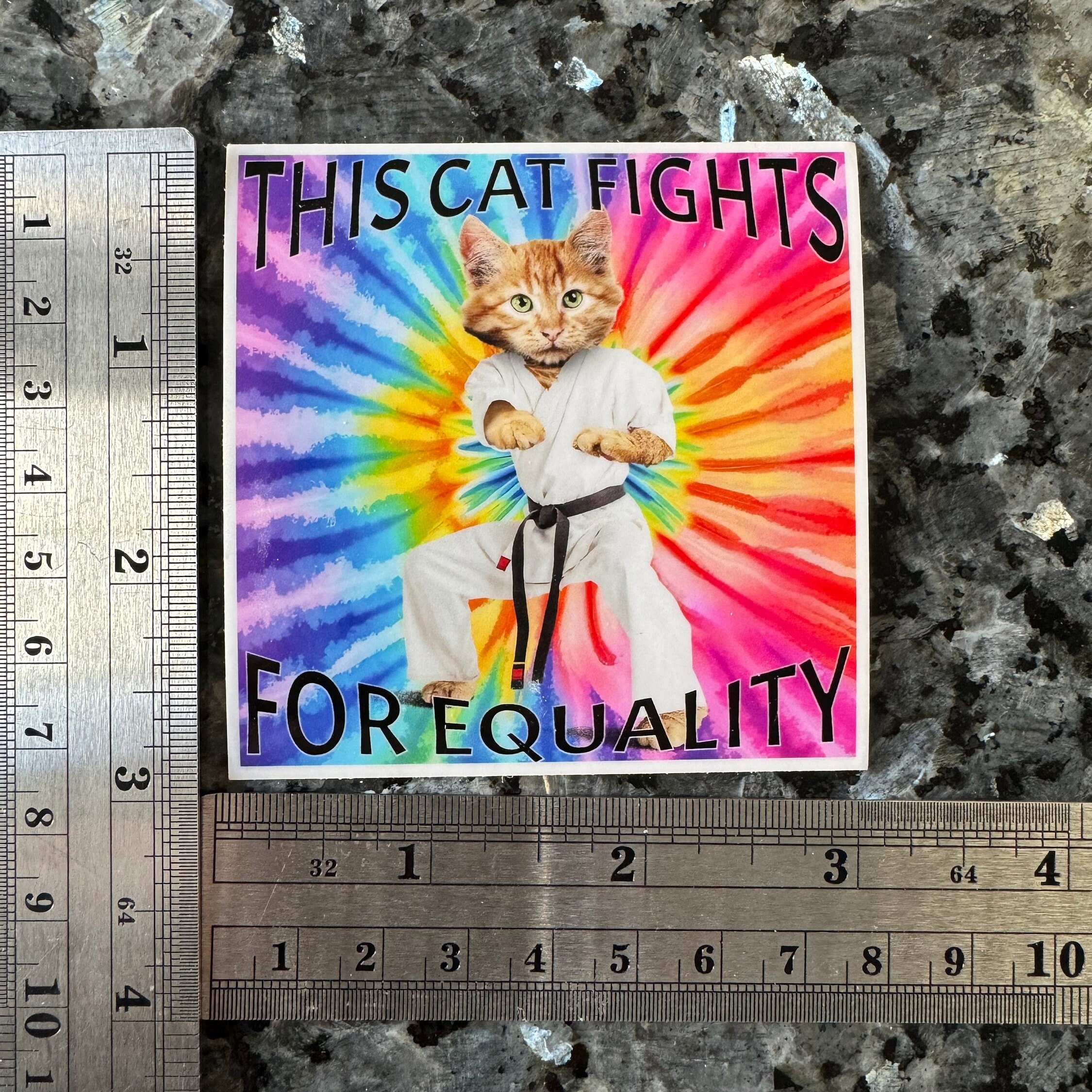 Equality Cat Sticker, Pride Sticker, Ally Sticker, Protest Sticker ...