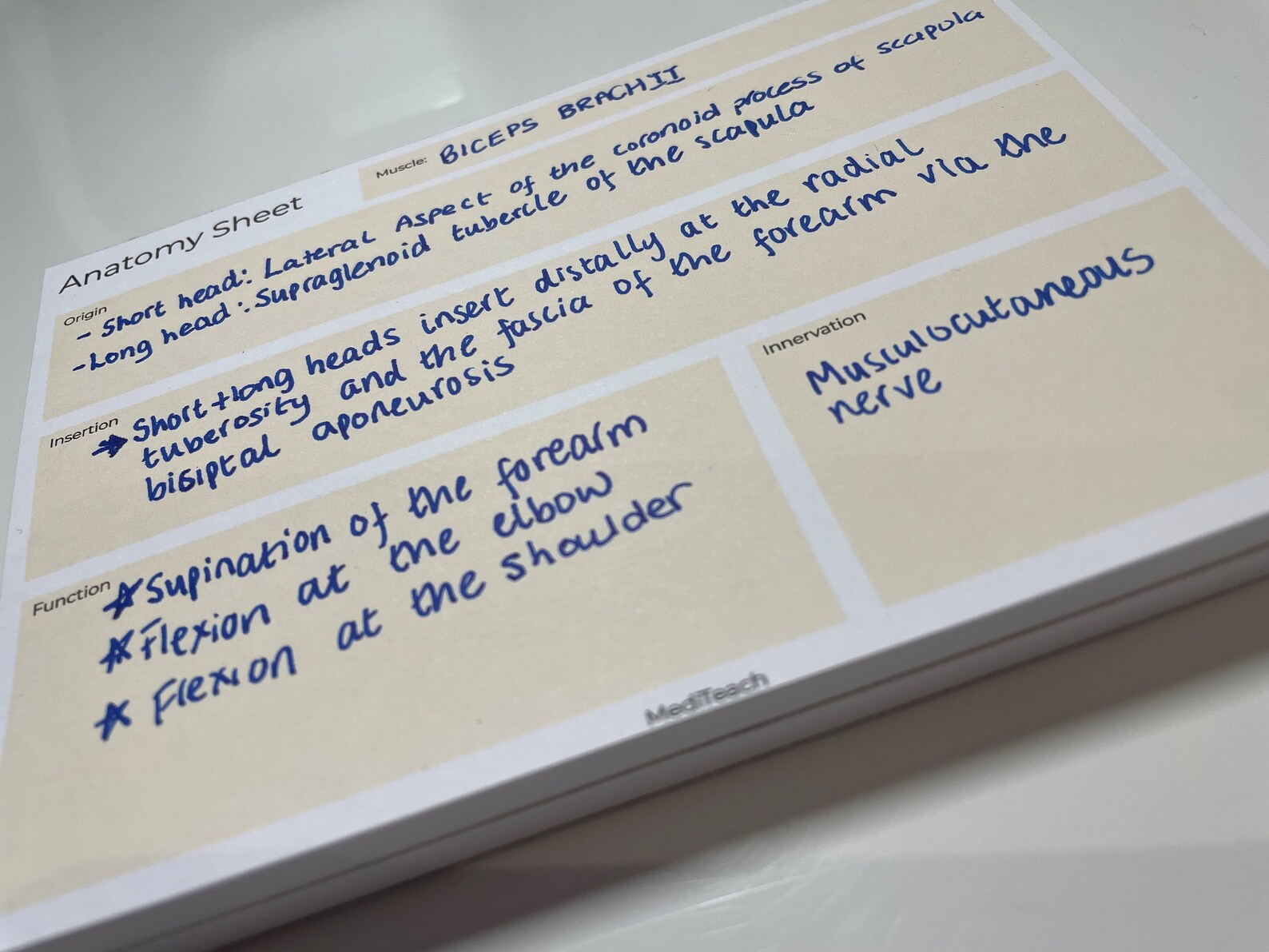 Anatomy Flashcard Notepad Medicine/physician - Etsy UK