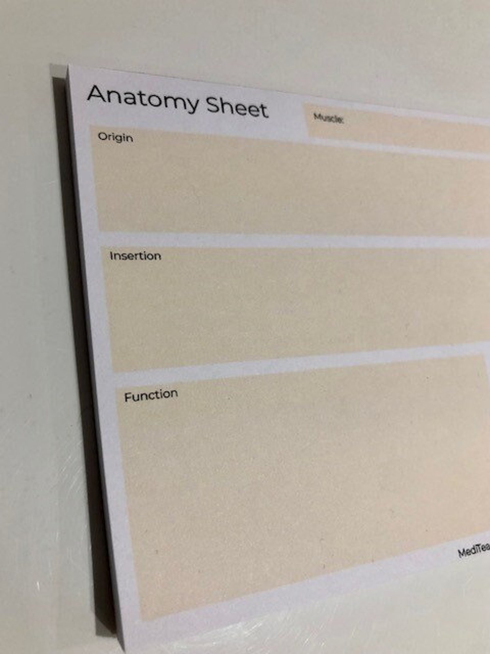 Anatomy Flashcard Notepad Medicine/physician | Etsy UK