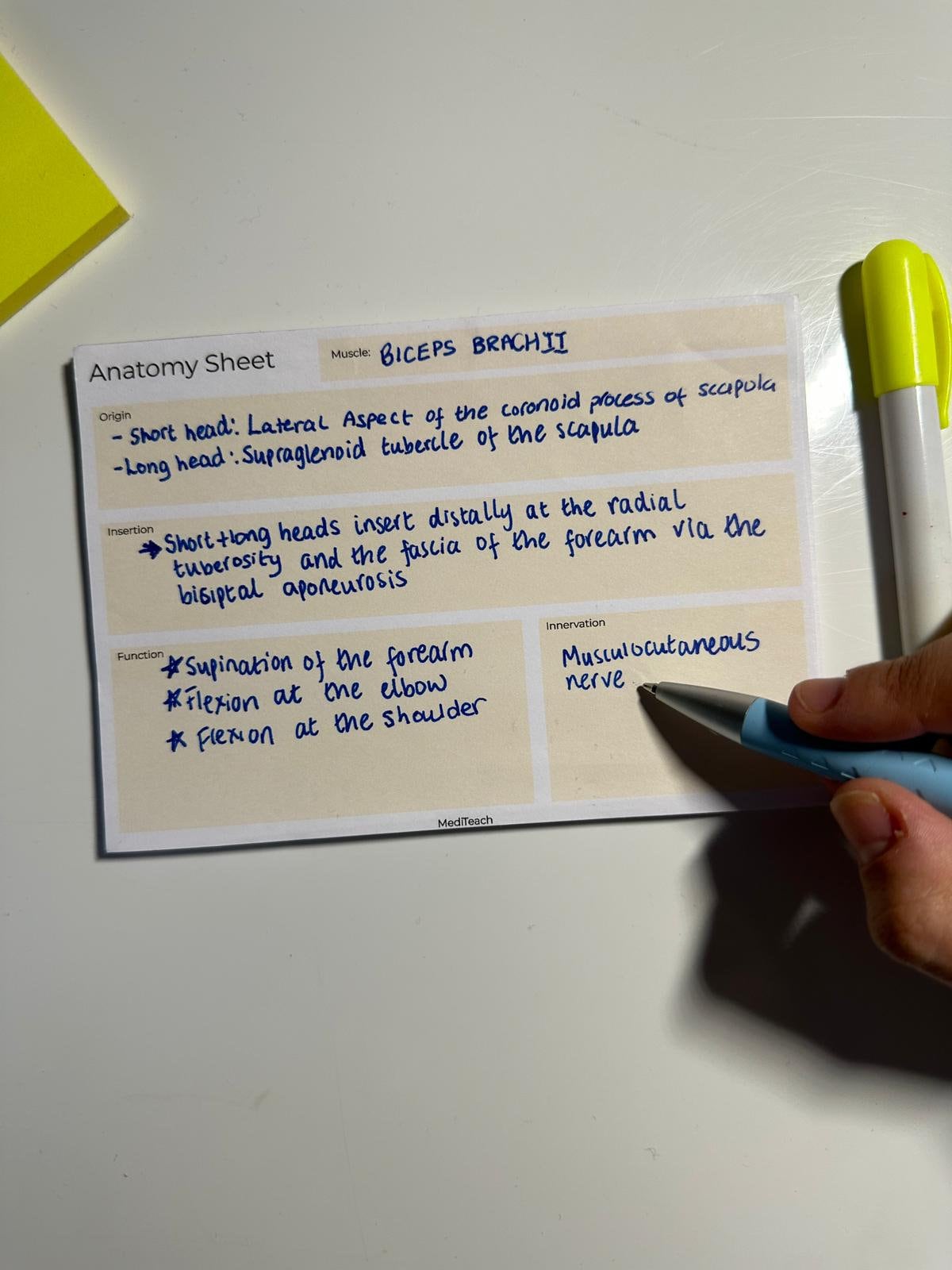 Anatomy Flashcard Notepad Medicine/physician - Etsy UK