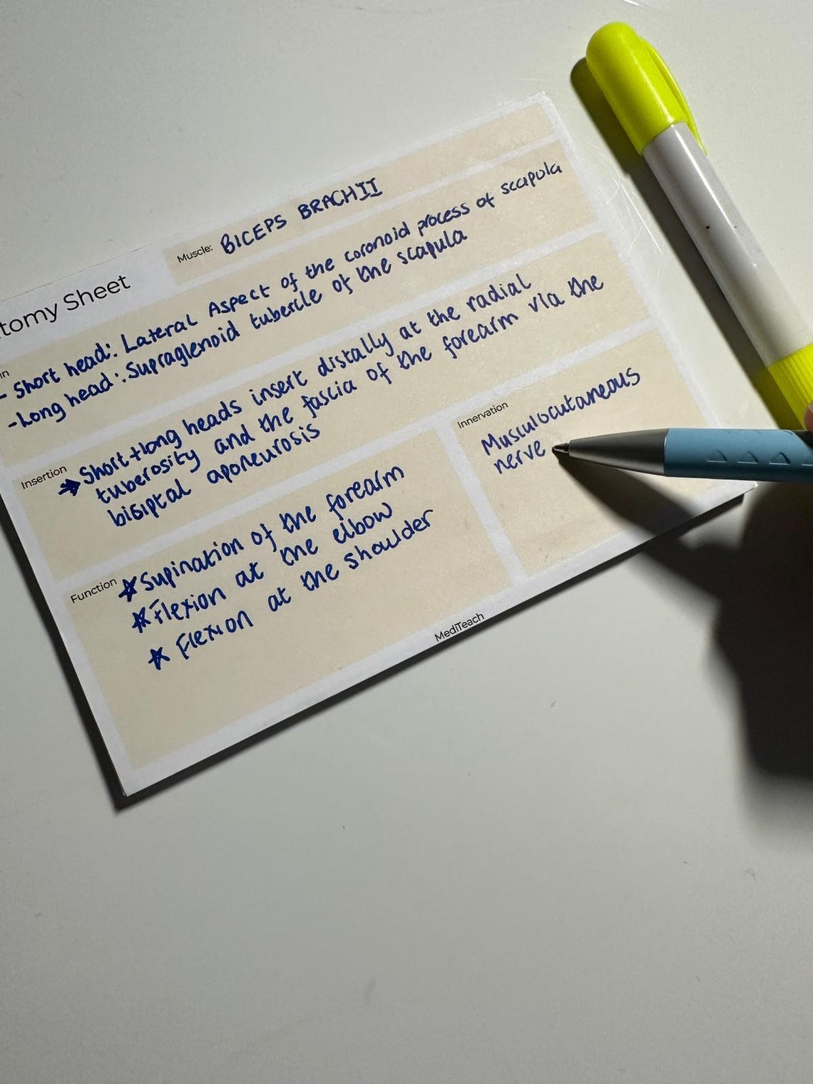 ULTIMATE Medical/nursing School Notepad Bundle - Revision, History ...