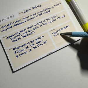 ULTIMATE Medical/nursing School Notepad Bundle - Revision, History ...