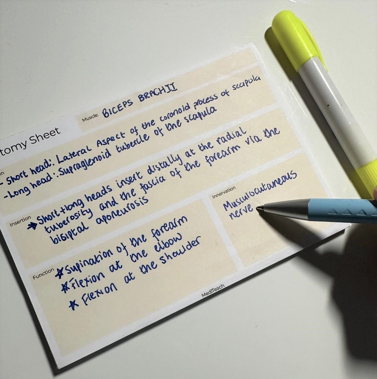 Anatomy Flashcard Notepad Medicine/physician - Etsy UK
