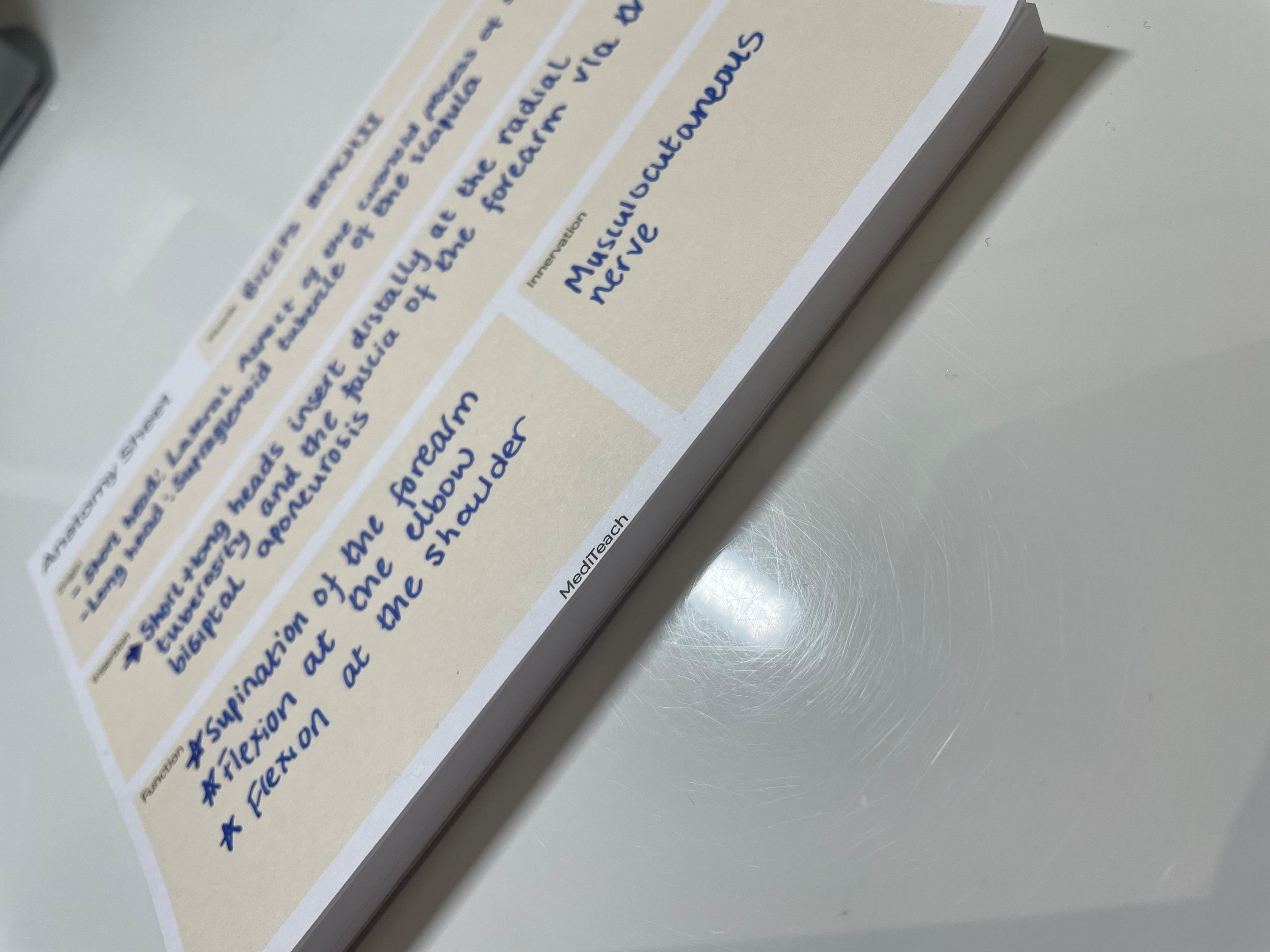 Anatomy Flashcard Notepad Medicine/physician | Etsy UK