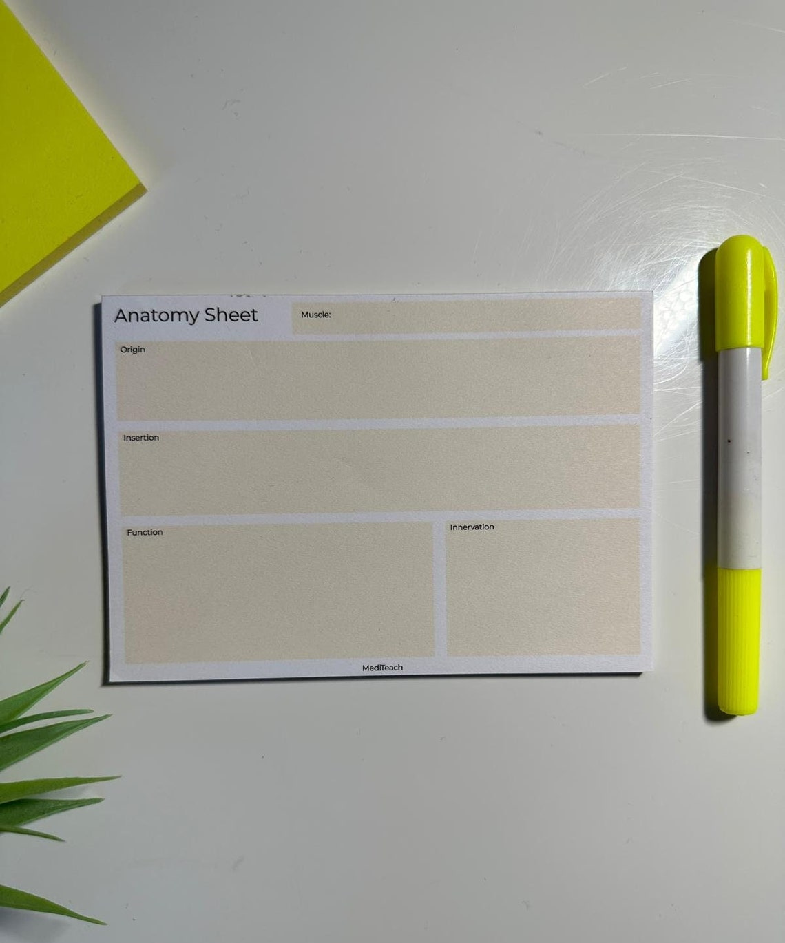 Anatomy Flashcard Notepad Medicine/physician - Etsy UK