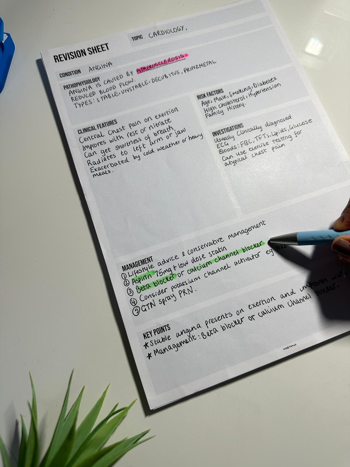 ULTIMATE Medical/nursing School Notepad Bundle - Revision, History ...