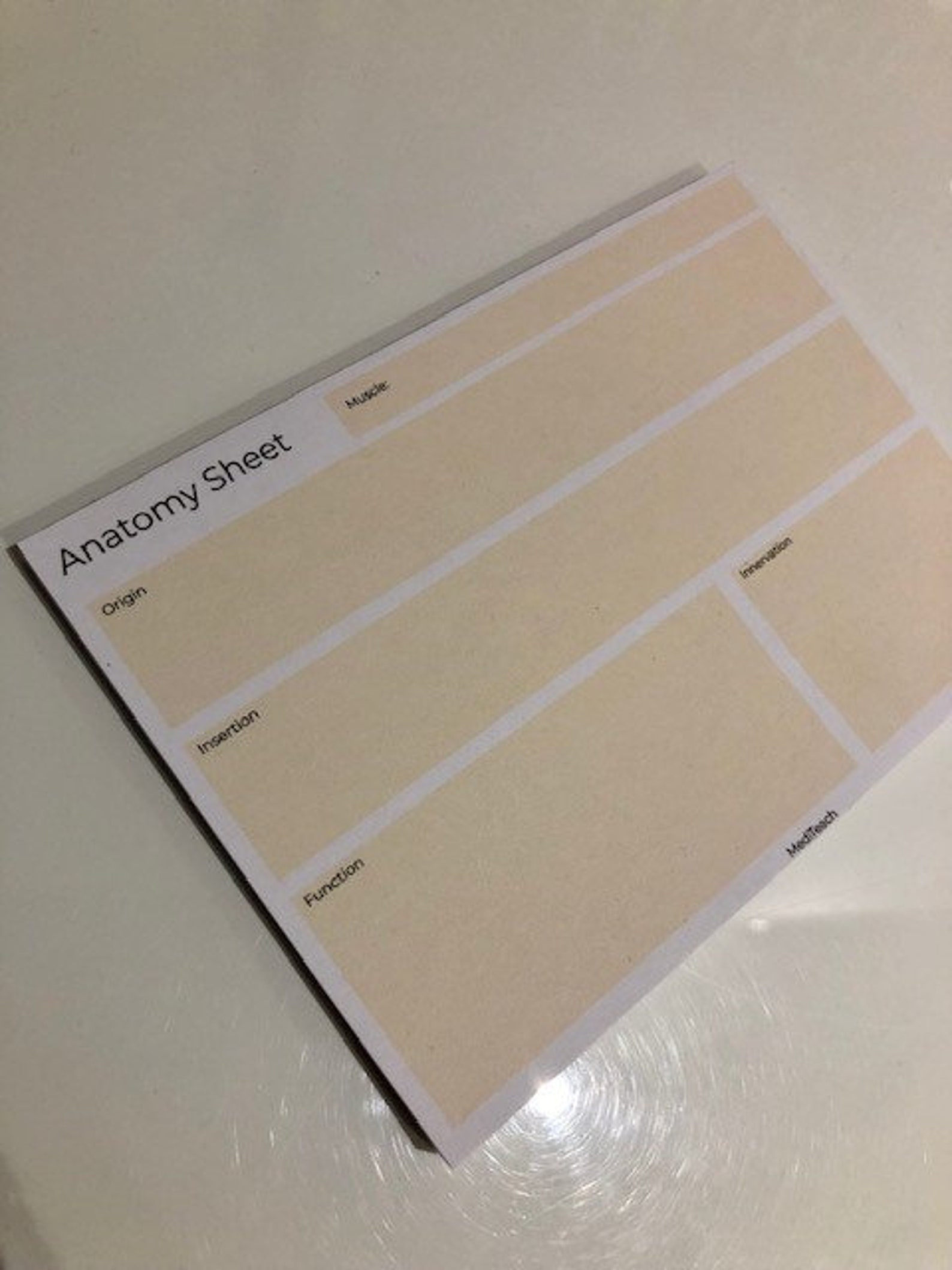 Anatomy Flashcard Notepad Medicine/physician | Etsy UK