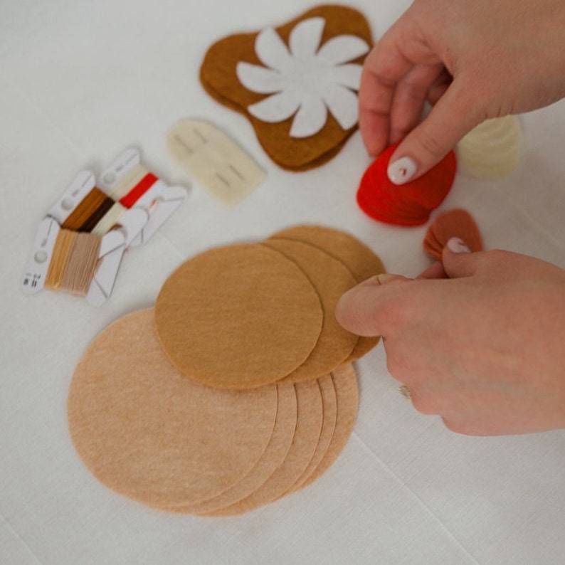 Felt Pancake Sewing Kit - Etsy