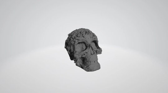 Fancy Skull Pen Holder Gcode and STL Files for Creality Ender3 ...